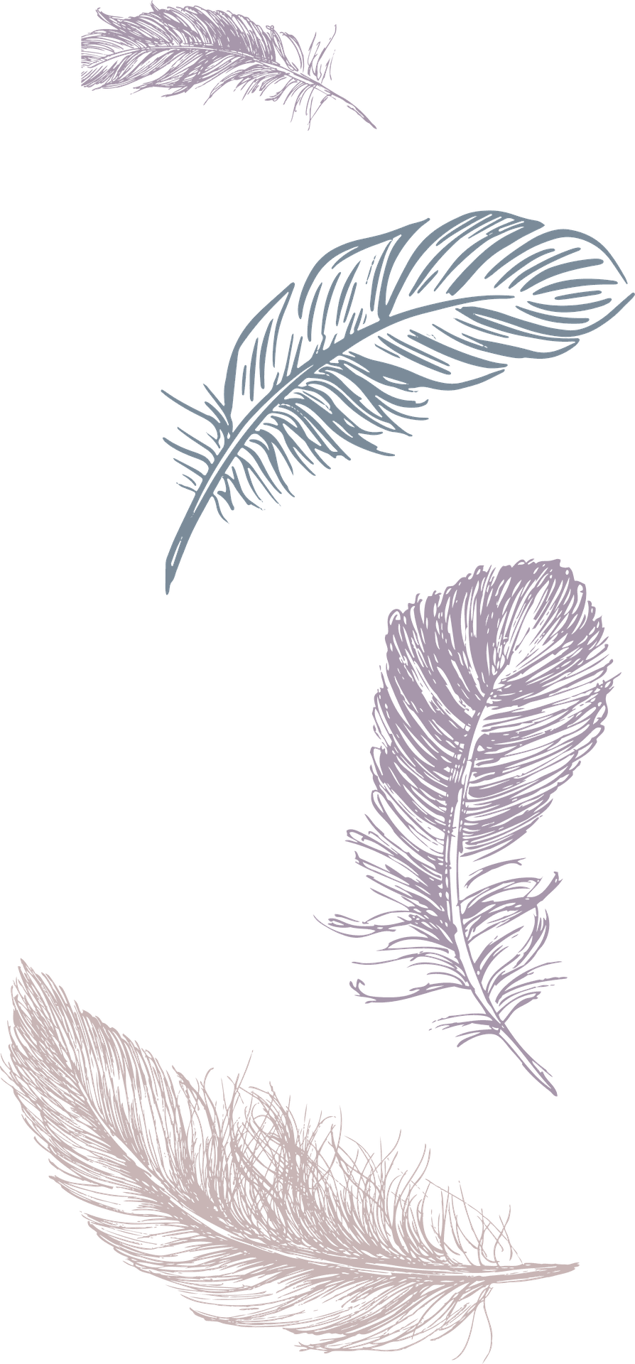 Pure Tissue UAE – Premium Facial Tissues for Everyday Comfort